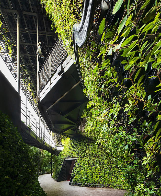 Singapore Pavilion, Expo 2020, Dubai - WOHA