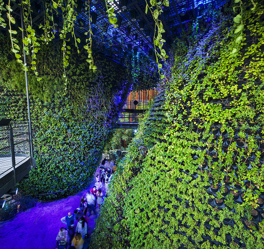 Singapore Pavilion, Expo 2020, Dubai - WOHA